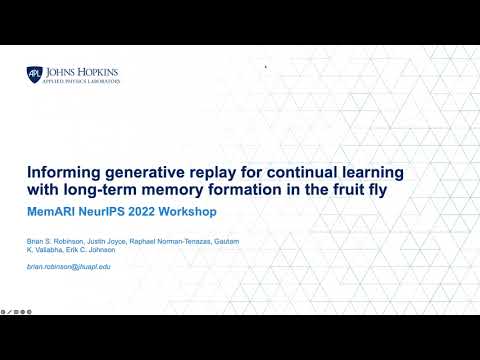 Neuroscience-Inspired Artificial Intelligence | Johns Hopkins University Applied Physics Laboratory